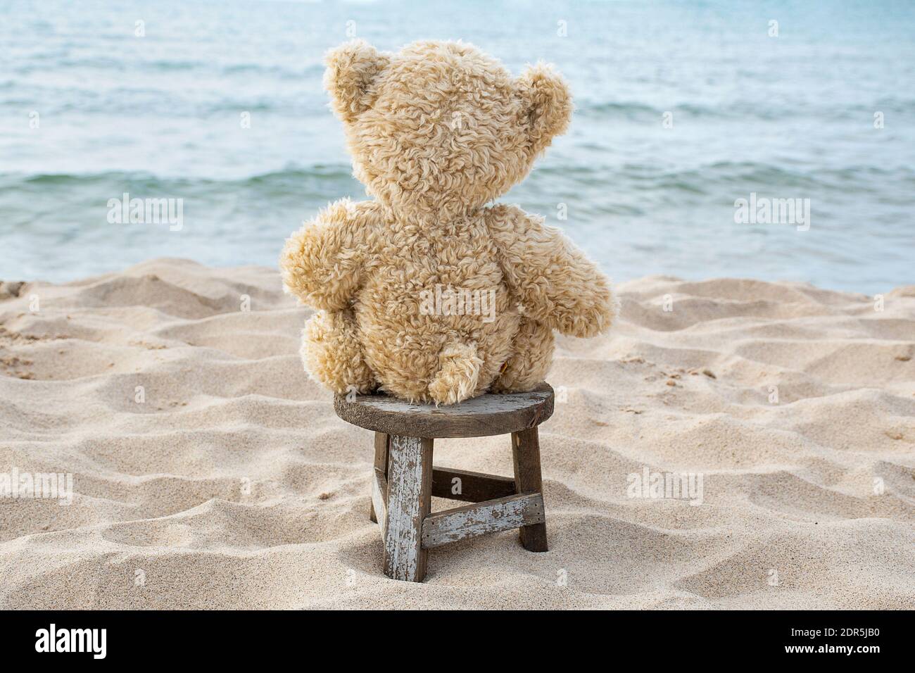 Teddy bear sitting on chair hi-res stock photography and images - Alamy