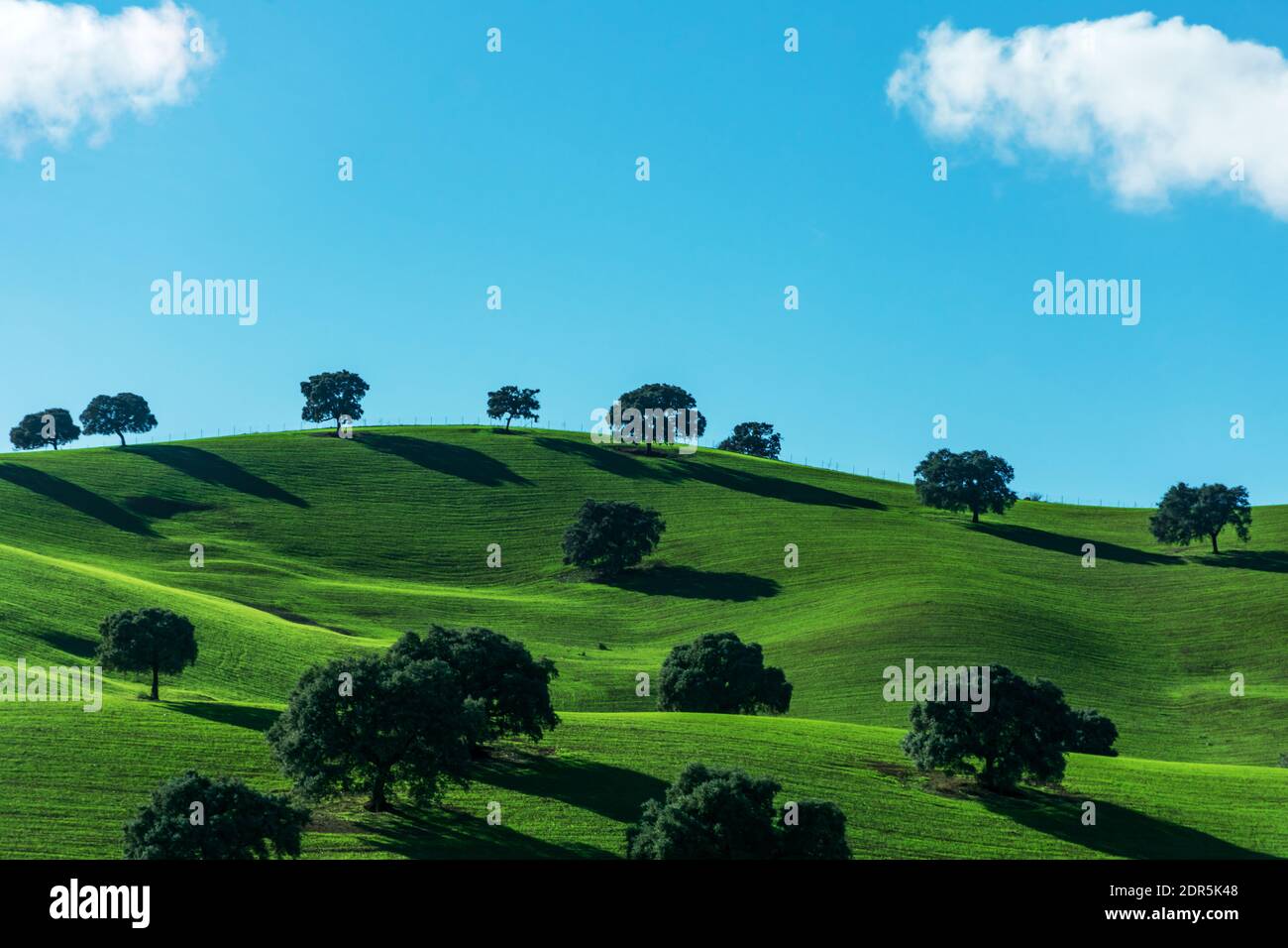 Small hill with scattered trees, a green ground, and a blue sky with ...