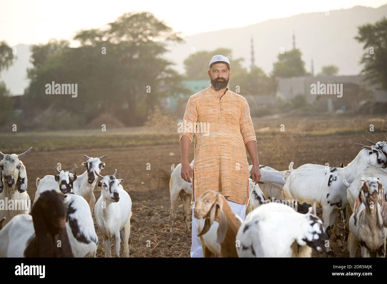 Muslim shepherd man with herd of goat on field Stock Photo - Alamy