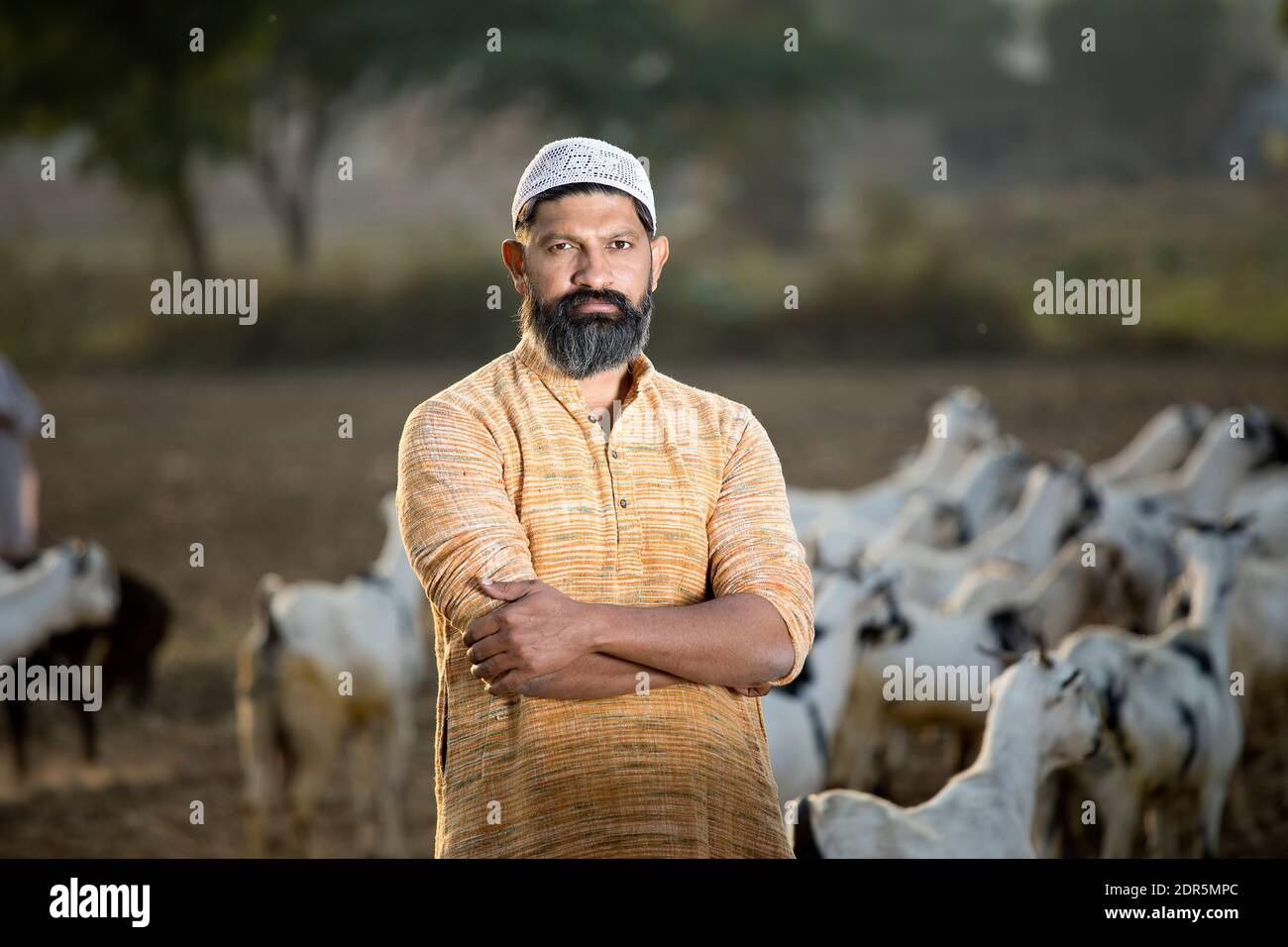 Muslim shepherd man with herd of goat on field Stock Photo - Alamy