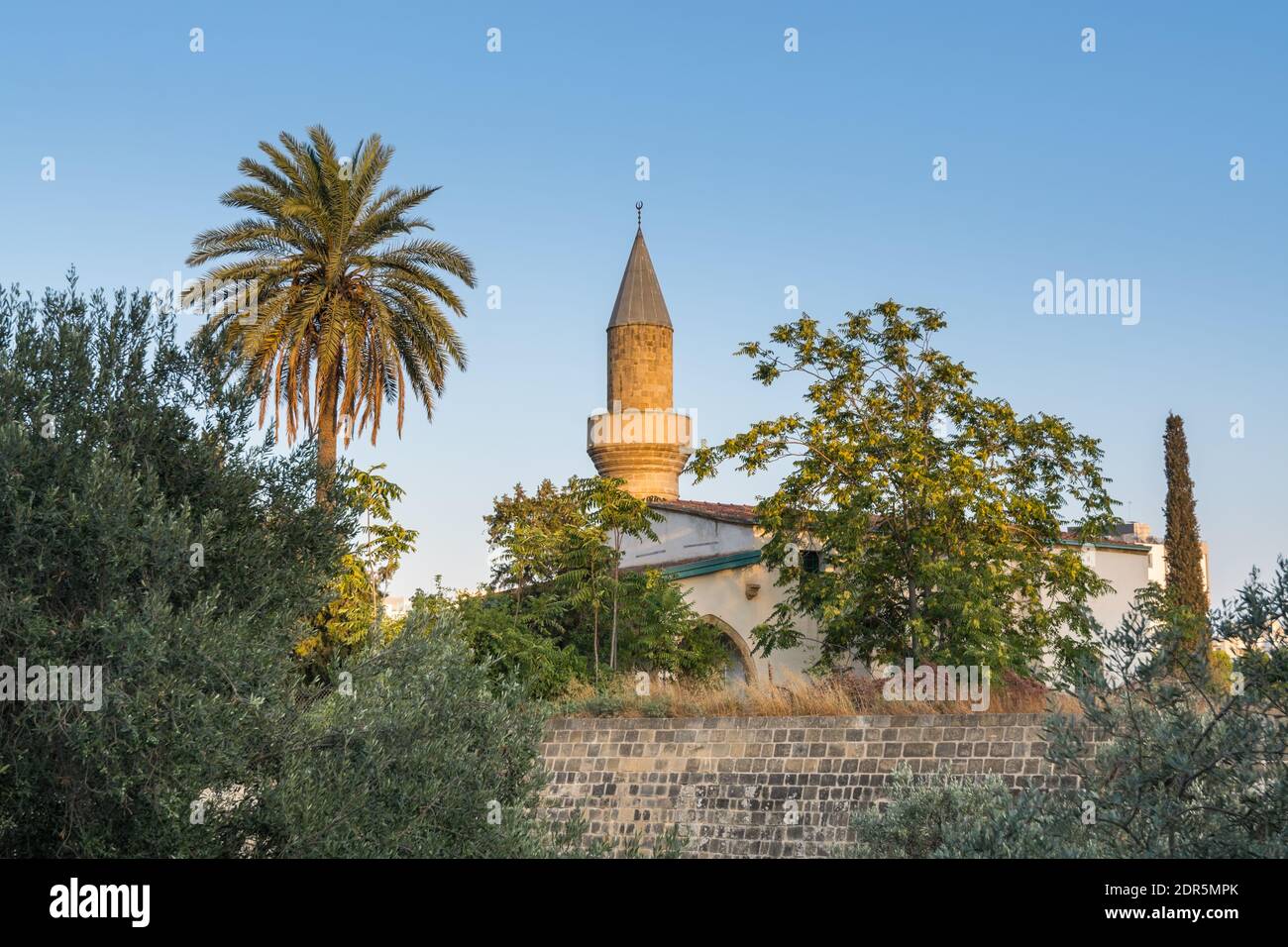 Turkish Bayraktar Mosque minaret and palm tree under sunset in Southern Nicosia, Cyprus Stock ...
