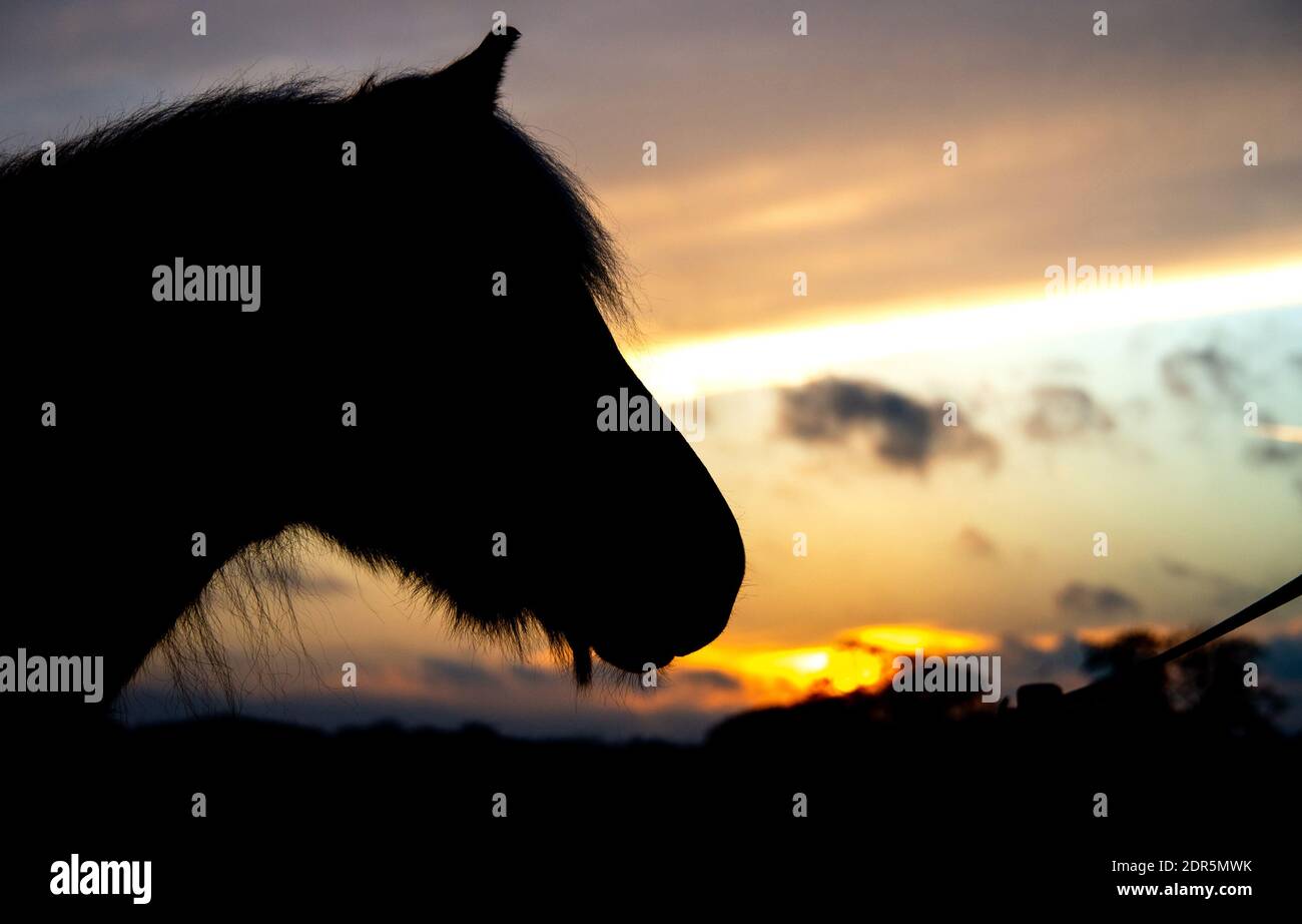 Winter solstice 2020 in hi-res stock photography and images - Alamy
