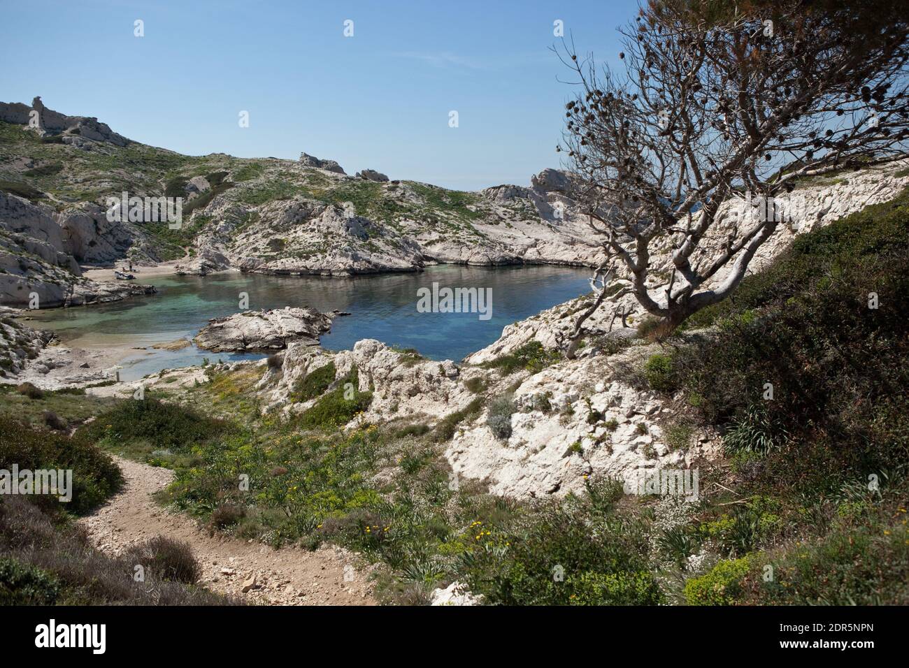 Frioul archipelago out of Marseille : Calanque de la Crine Stock Photo ...
