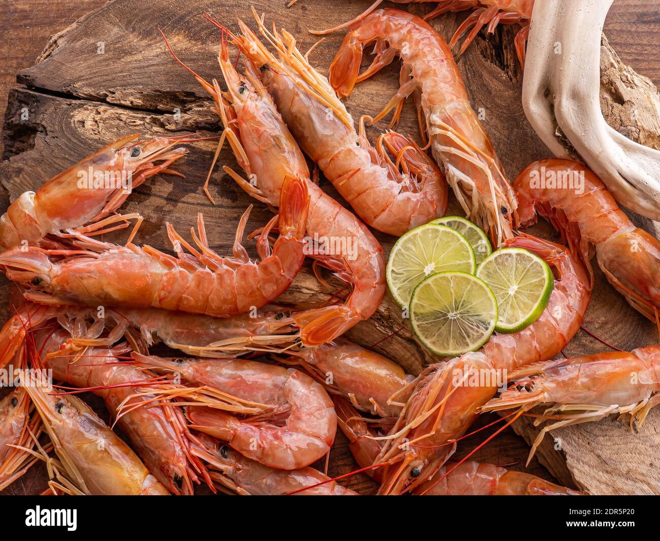 Shrimp animal hi-res stock photography and images - Alamy