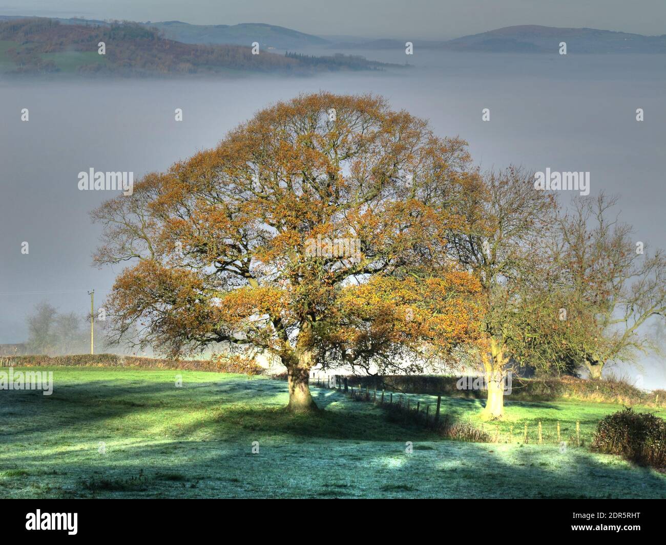 Misty welsh landscape hi-res stock photography and images - Alamy