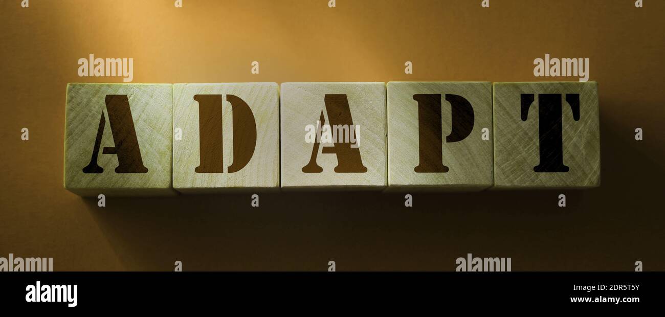 Wooden Blocks with the text: Adapt. Adaptation to changing reality ...