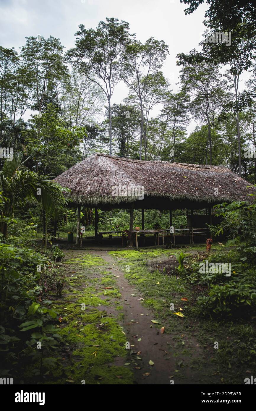 Shuar Territory, Amazon, Ecuador Stock Photo - Alamy