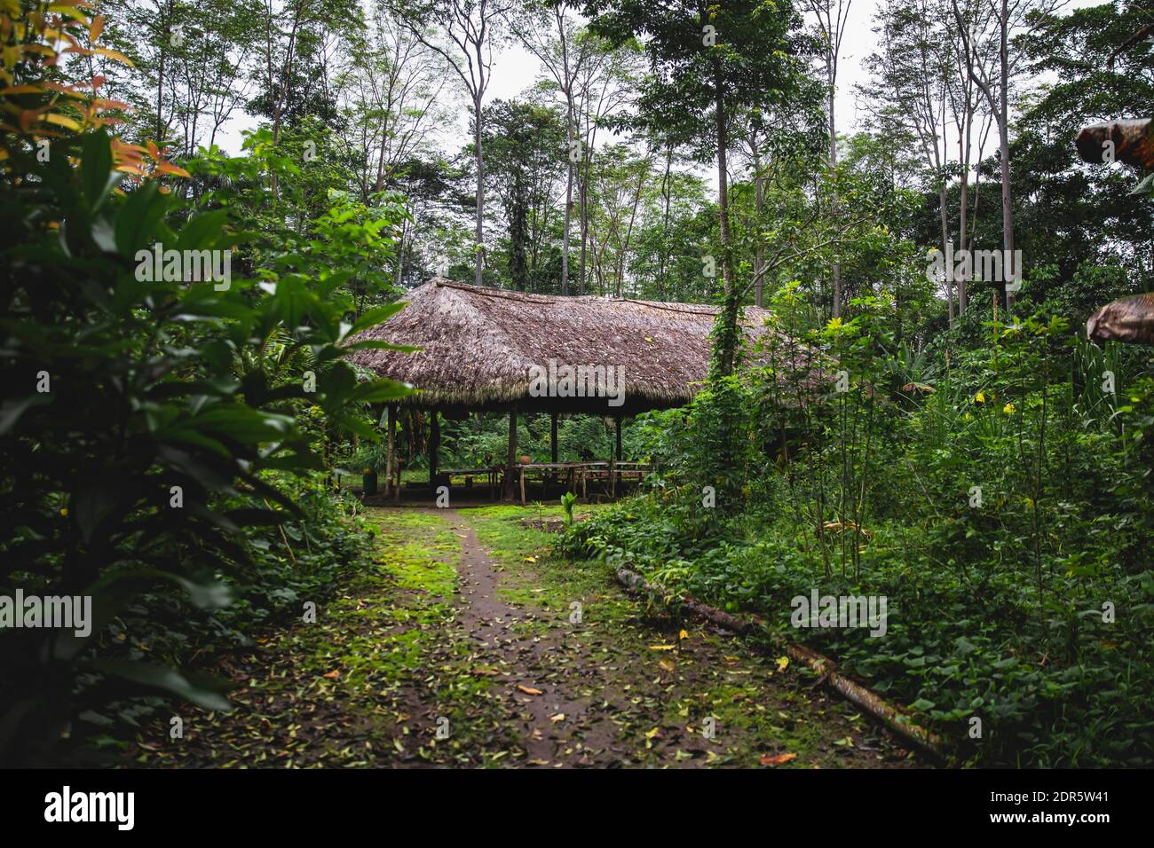Traditional amazon house hi-res stock photography and images - Alamy