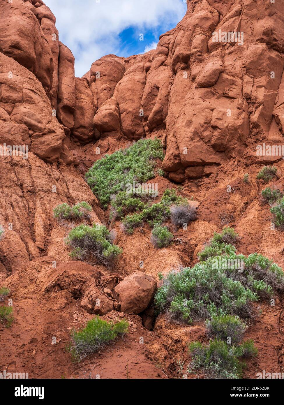 Cliffs near the fallen arch, Shakespeare Arch-Sentinel Trail ...