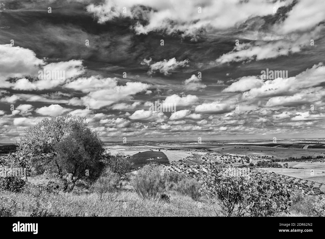 Field shot Black and White Stock Photos & Images - Alamy