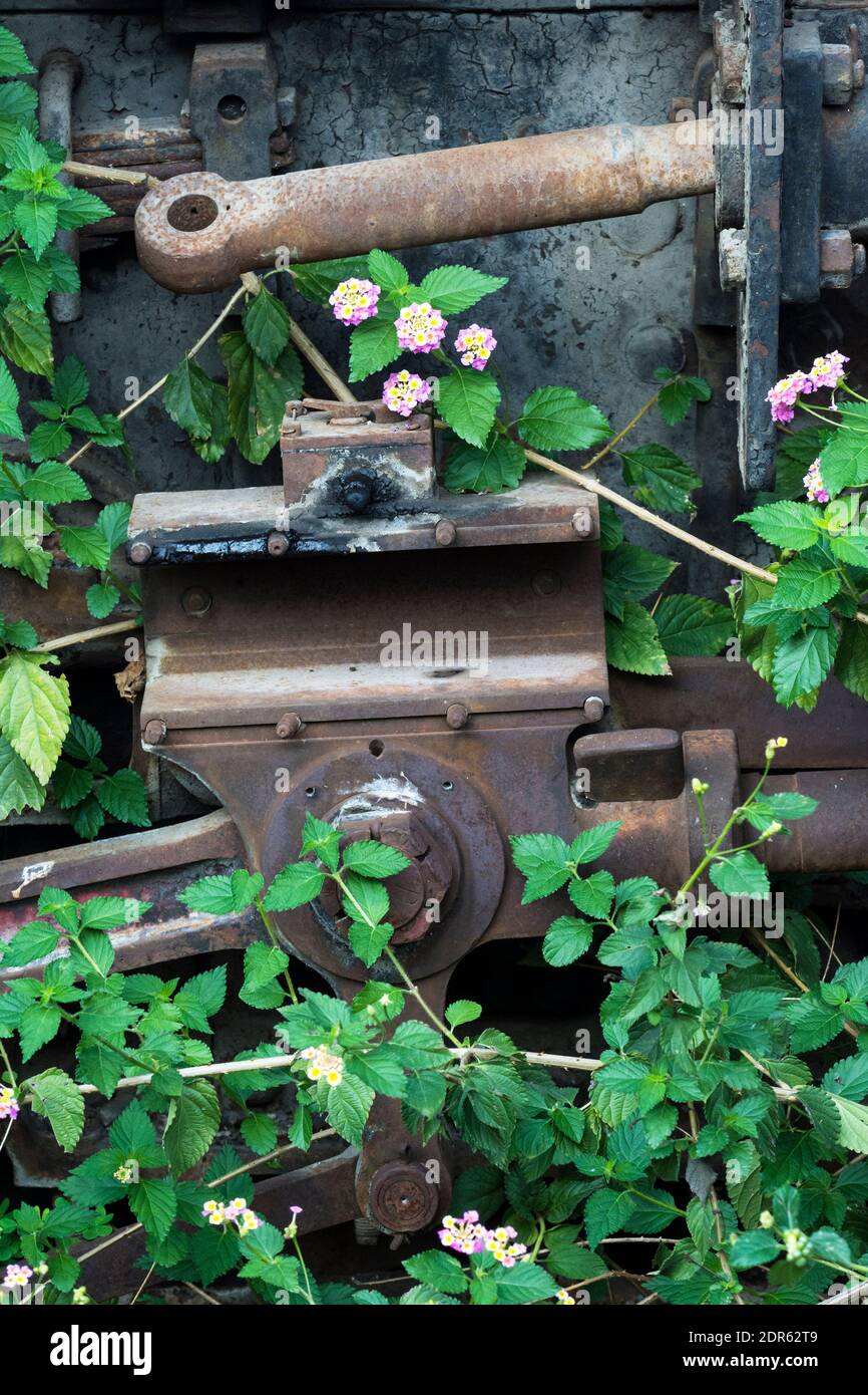 Close up shot of an old rusty train steel parts overgrown with plants ...
