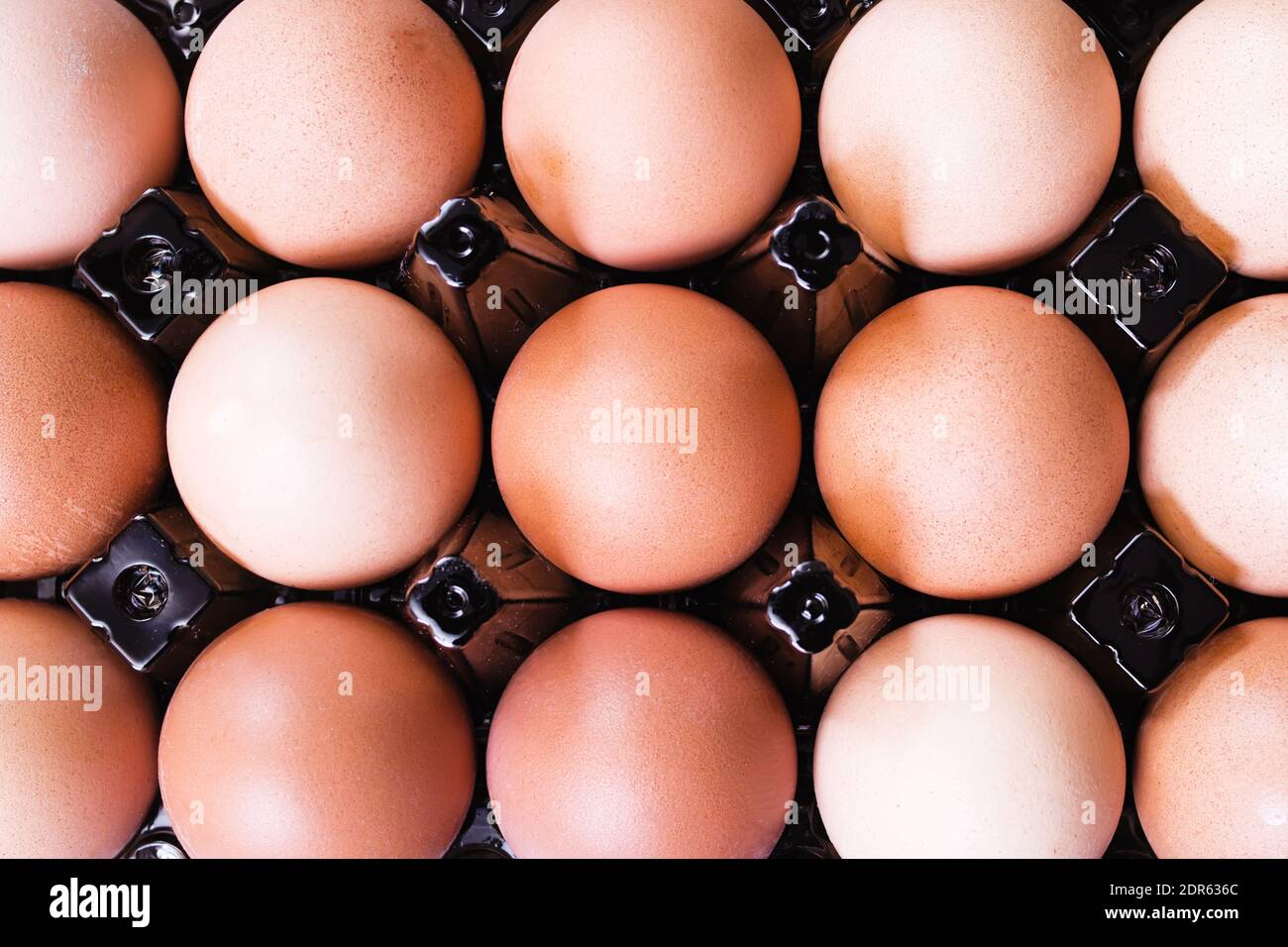 Many chicken eggs in a box top view Stock Photo - Alamy