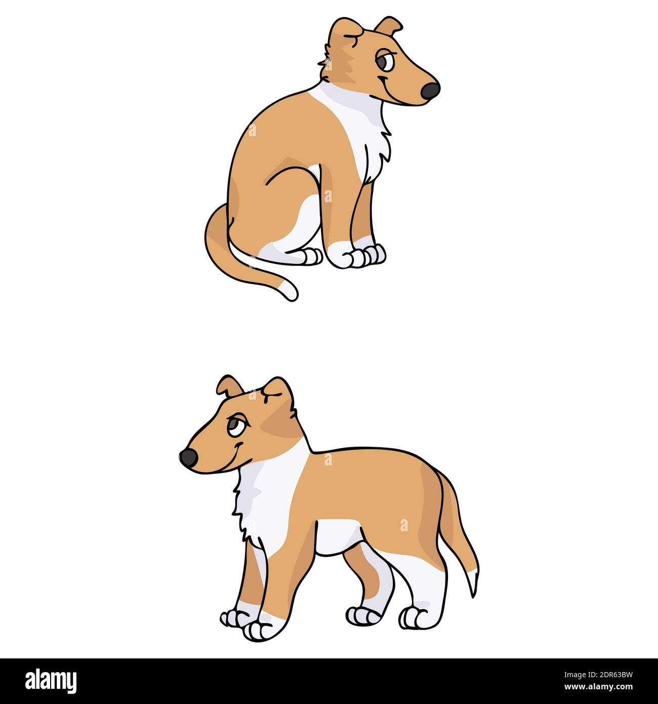 Cute cartoon Smooth Collie puppy vector clipart. Pedigree kennel doggie ...