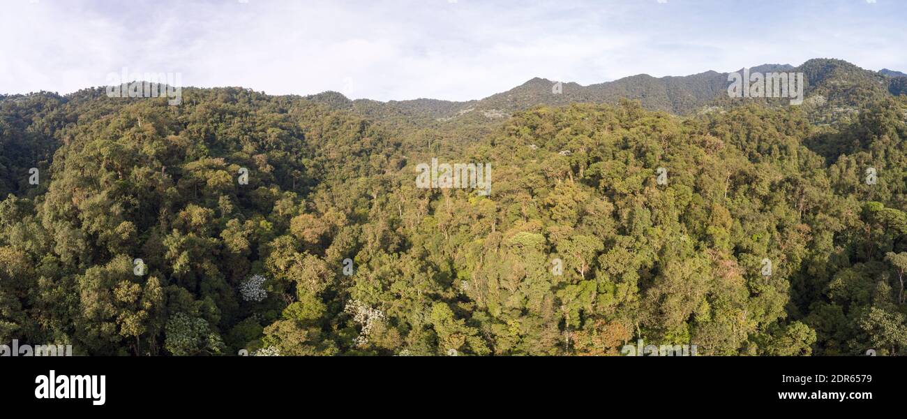 Toisan hi-res stock photography and images - Alamy