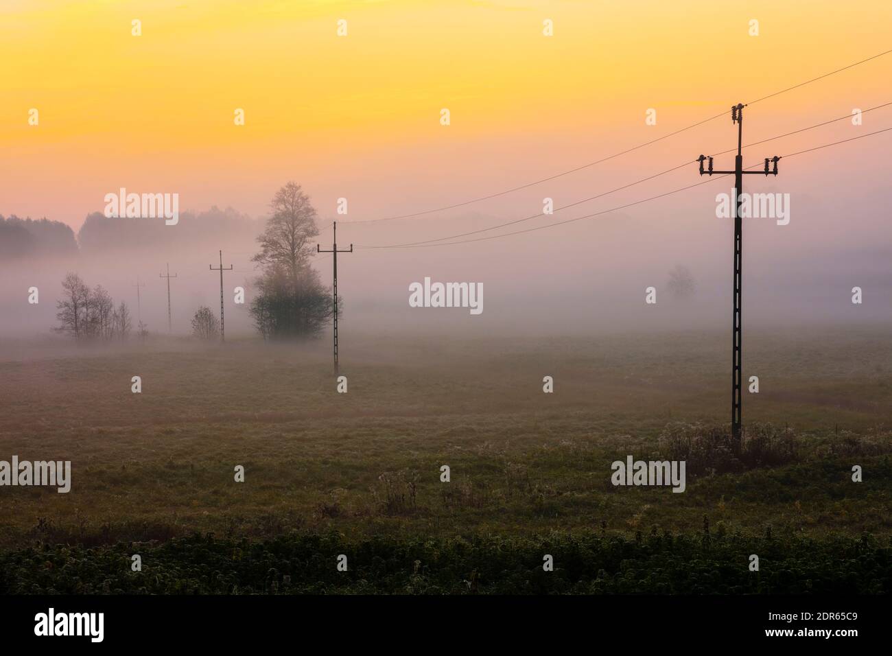 Warmia and Masuria, electric poles in fog, Poland Stock Photo - Alamy