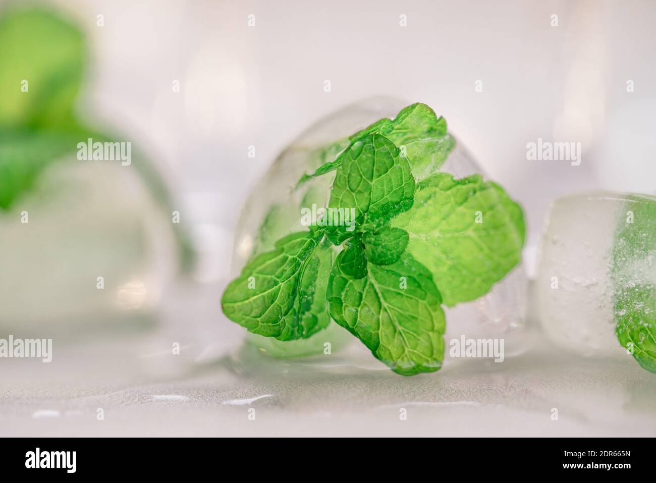 Frozen mint leaf hi-res stock photography and images - Alamy