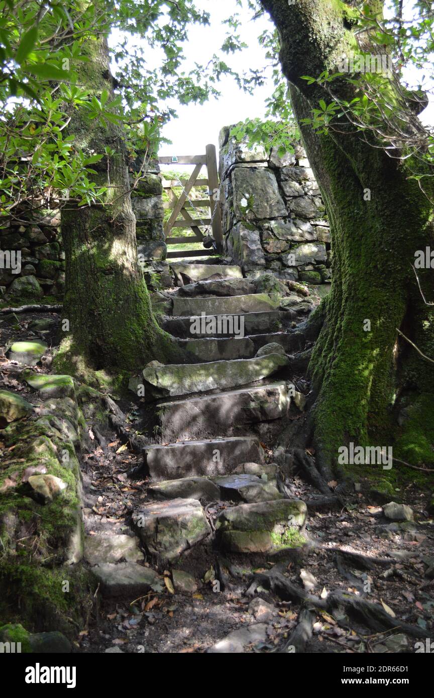 Stone step gateway Stock Photo - Alamy