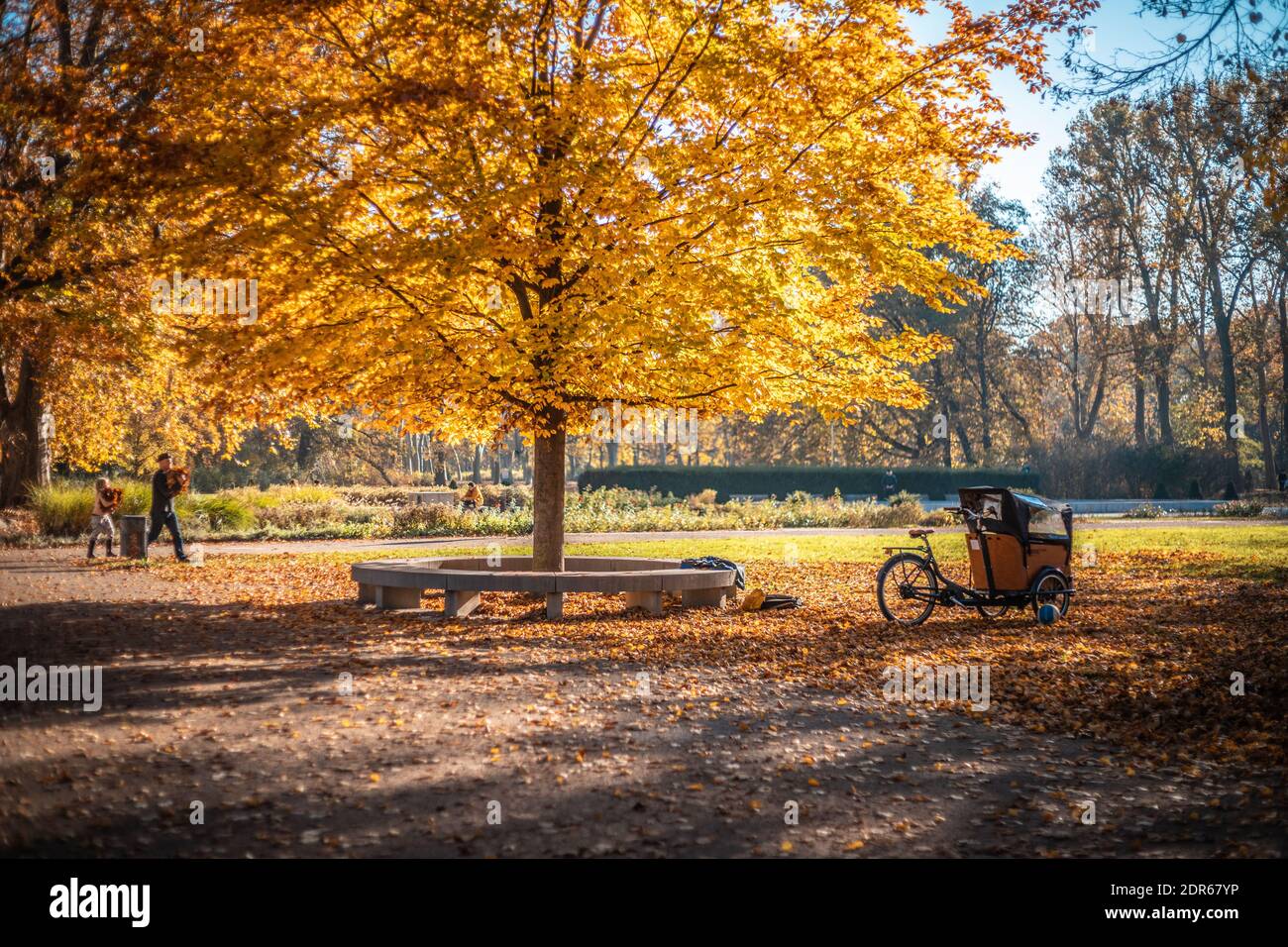 Autumn in Berlin Park Stock Photo - Alamy