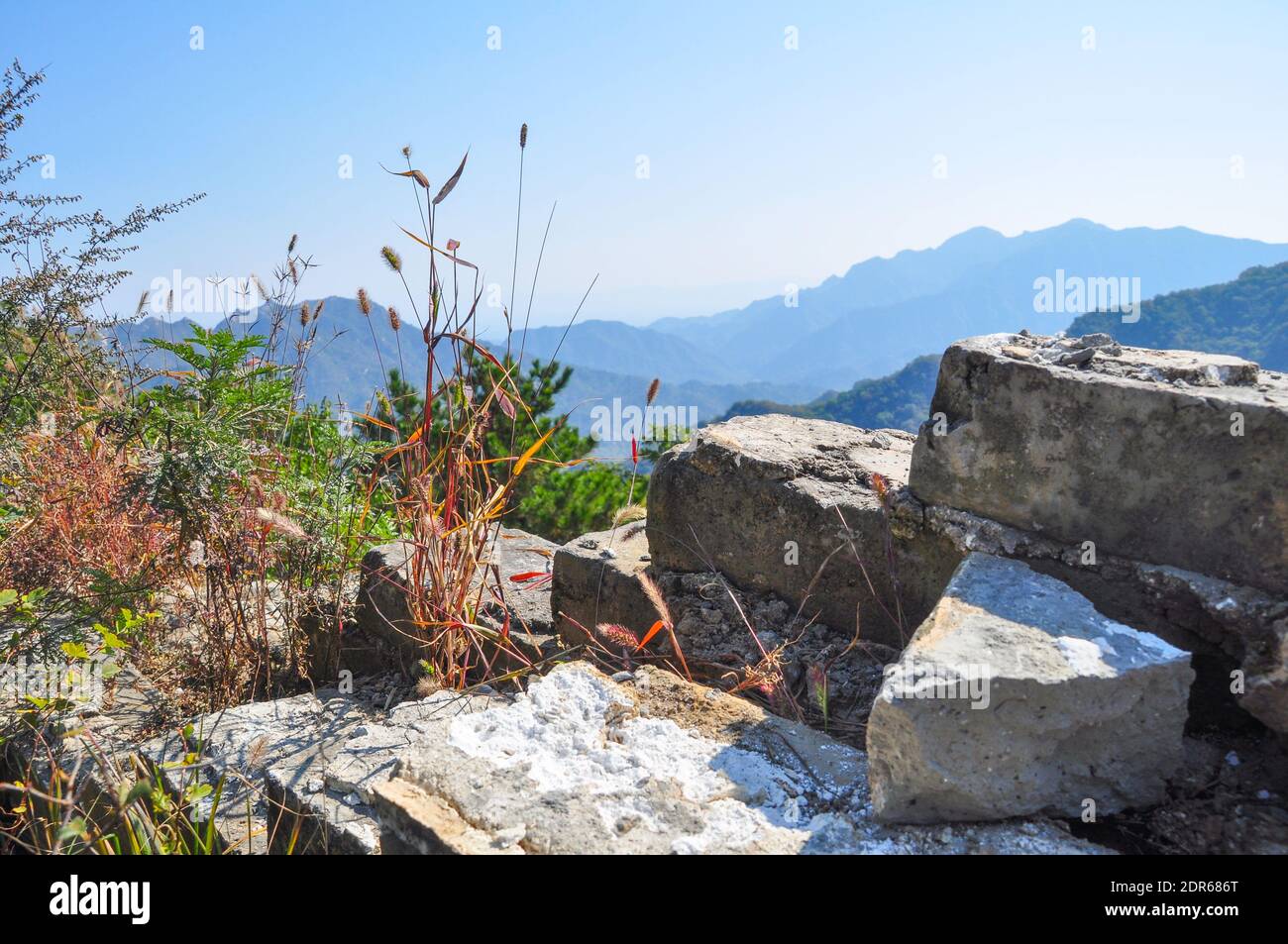 Unplastered, crumbling bricks and red grass growing on the Great Wall ...