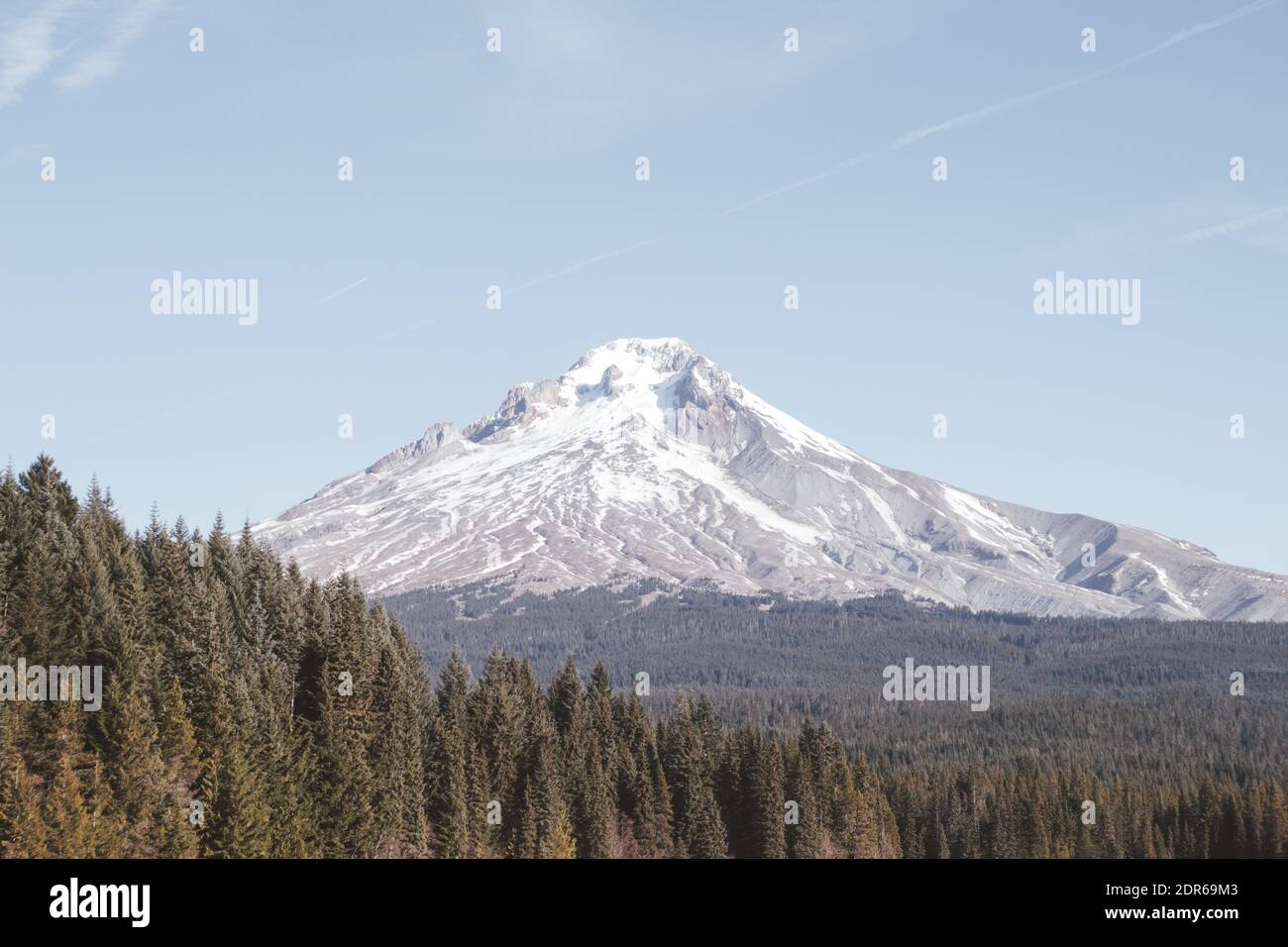 Oregon forest aerial hi-res stock photography and images - Alamy