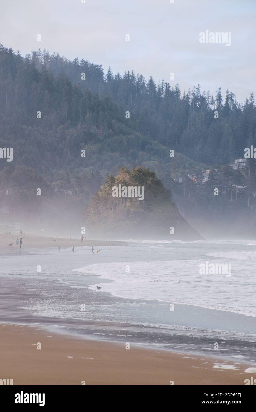 A vertical shot of Proposal Rock, Oregon in a foggy day Stock Photo - Alamy