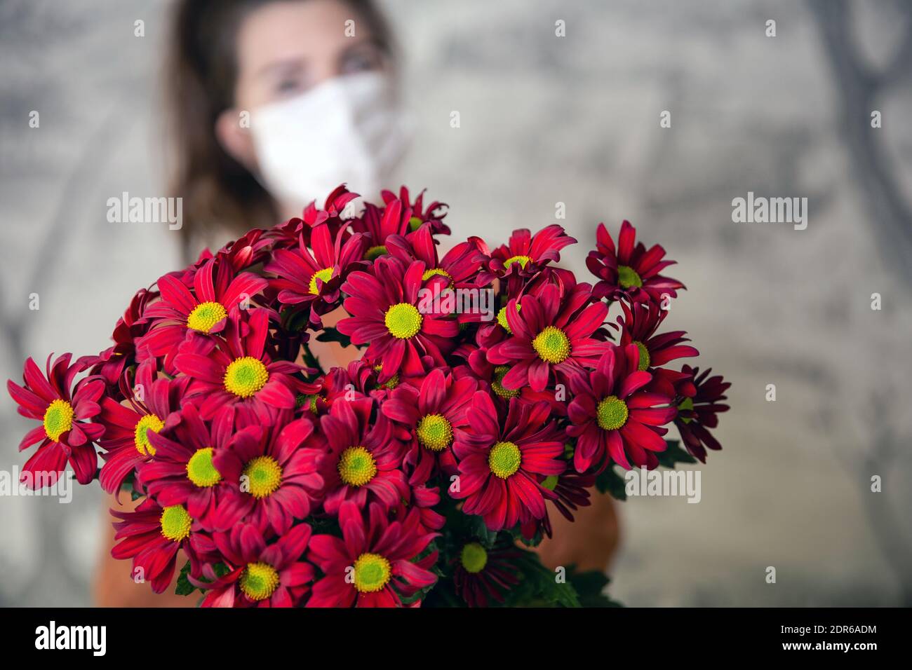 Young Female holding a bouquet of red daisie flowers wearing a ...