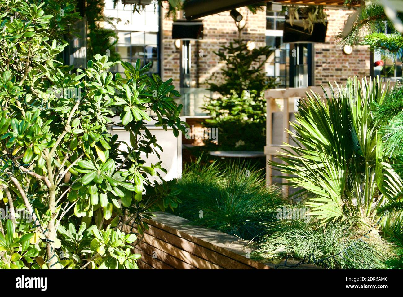 Garden mini bar hi-res stock photography and images - Alamy