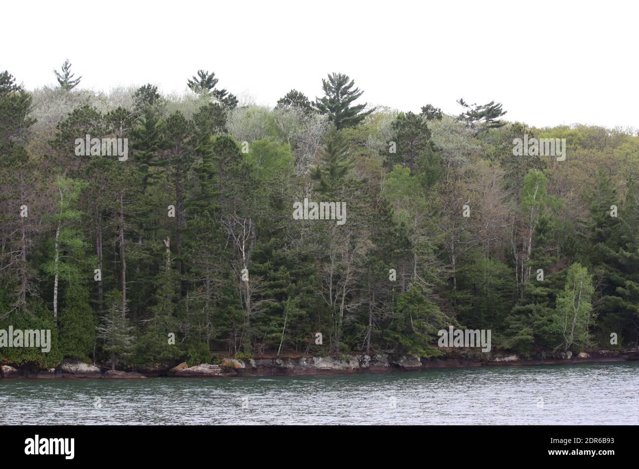 The rocky shoreline of Lake Superior lined with a variety of trees ...