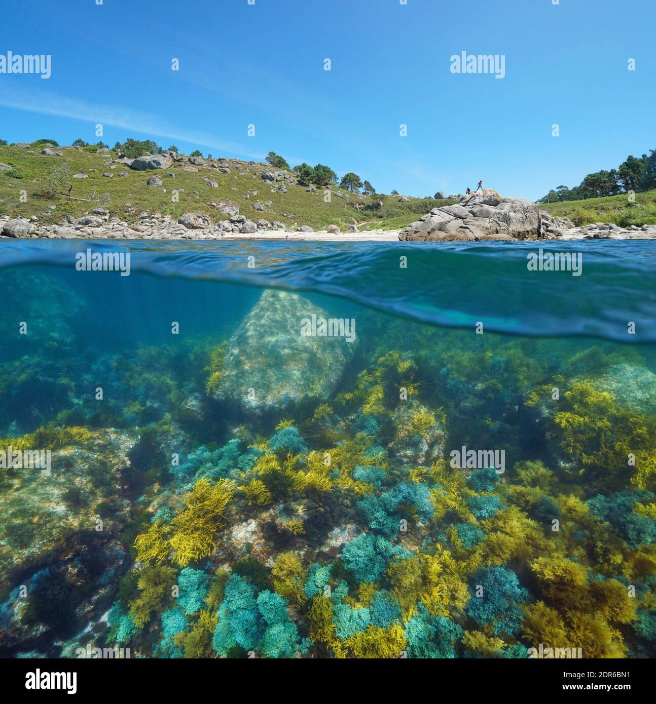 Coast of Galicia in Spain, beach with large rocks and colorful algae ...