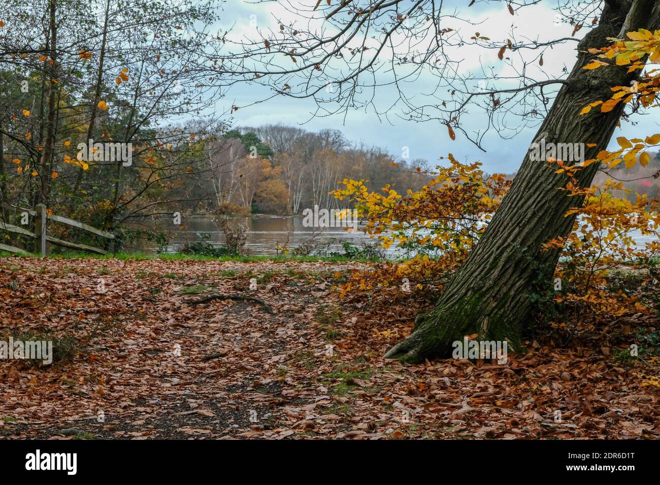 Virginia Water Lake Windsor Great Park Surrey Stock Photo - Alamy