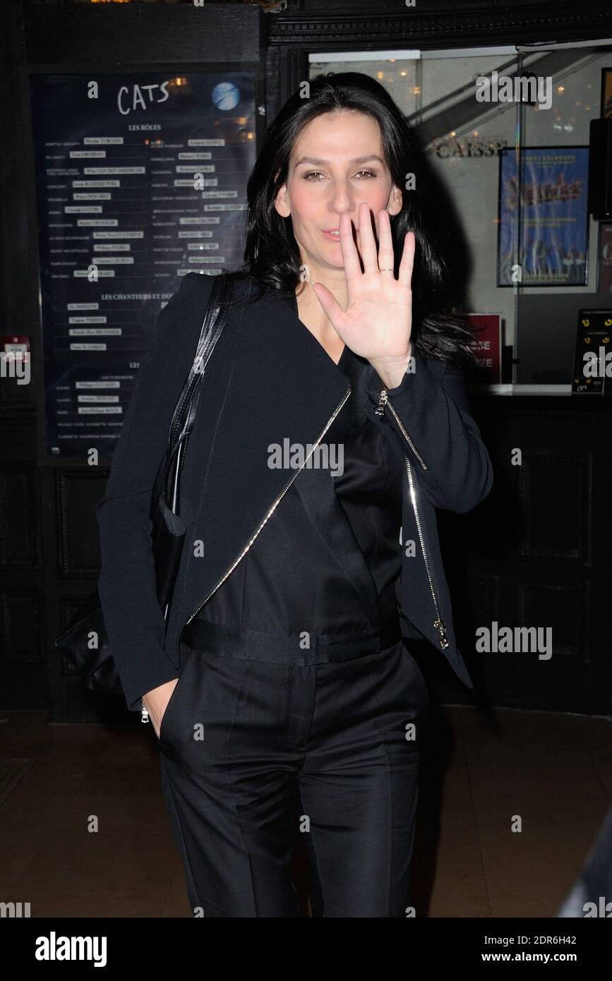 Marie Drucker assiste a la premiere de Cats au theatre Mogador a Paris ...