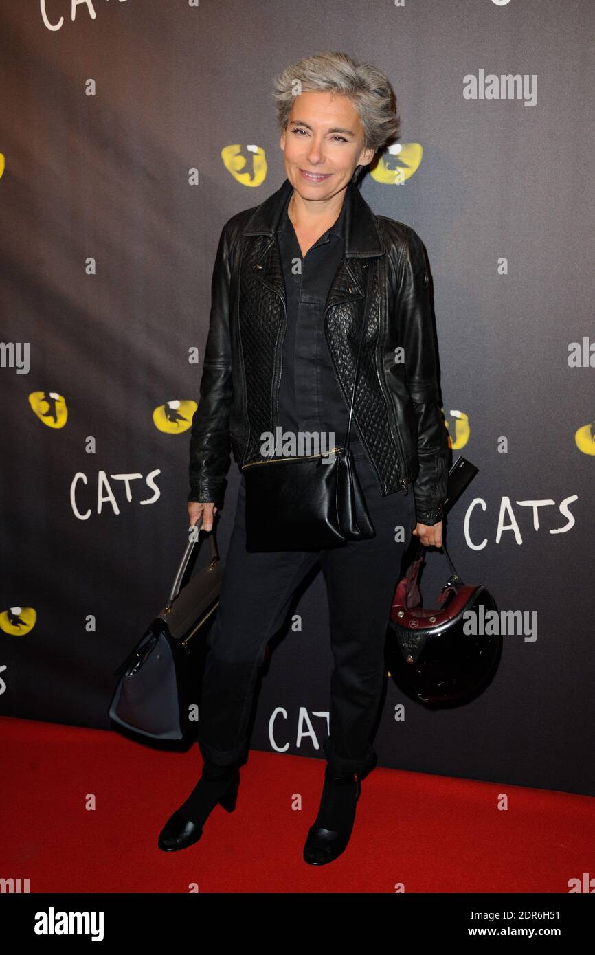 Elisabeth Quin assiste a la premiere de Cats au theatre Mogador a Paris ...