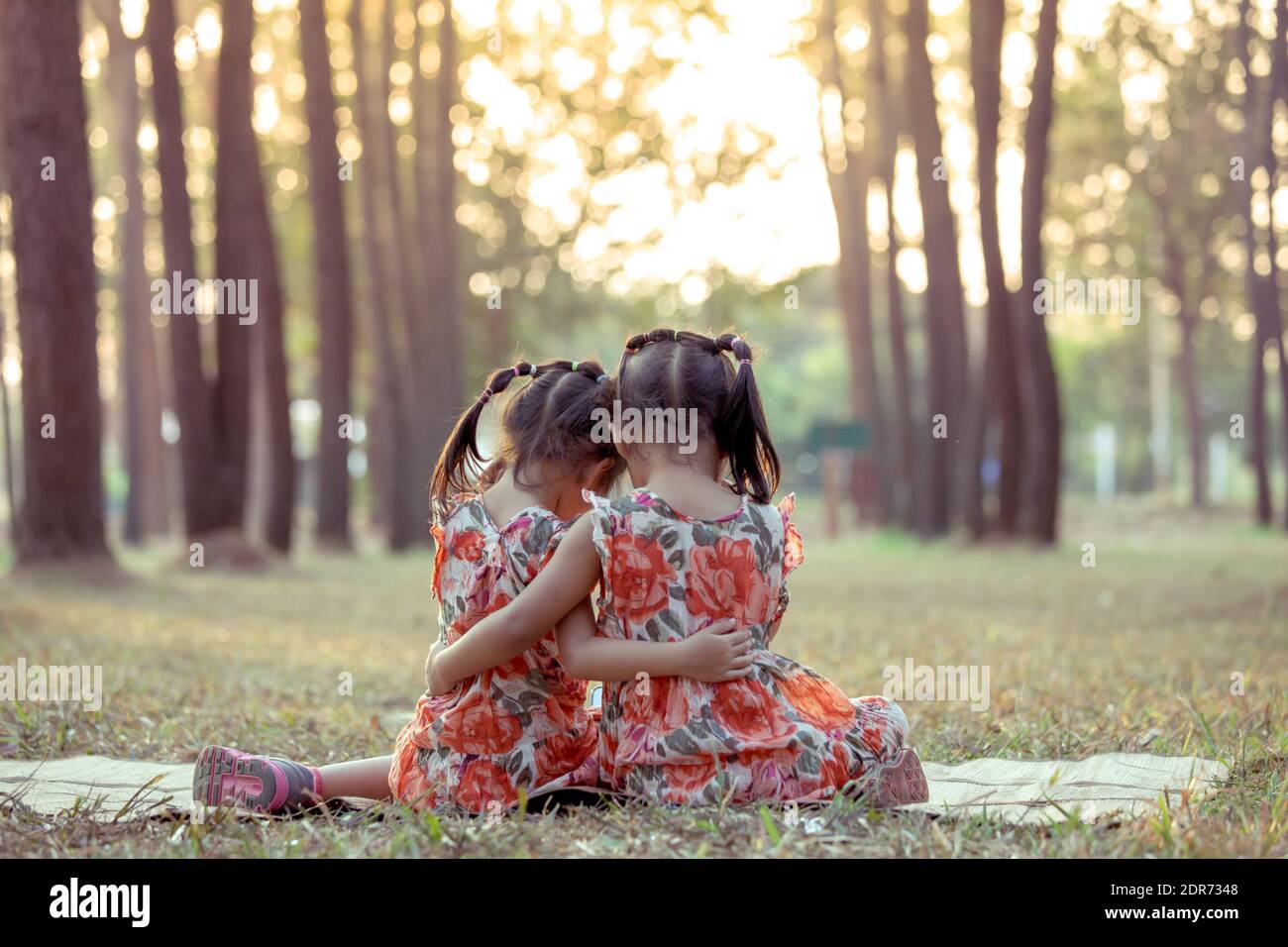 Twin sisters rear view hi-res stock photography and images - Alamy