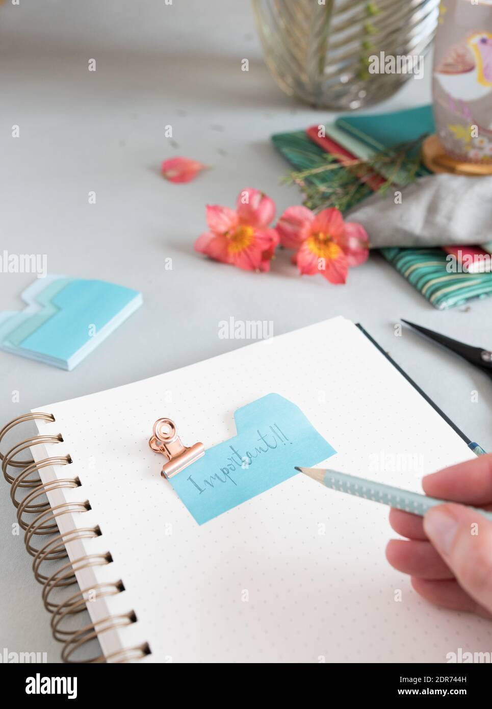 Empty spiral notebook with a dotted pencil held by a woman hand and an ...