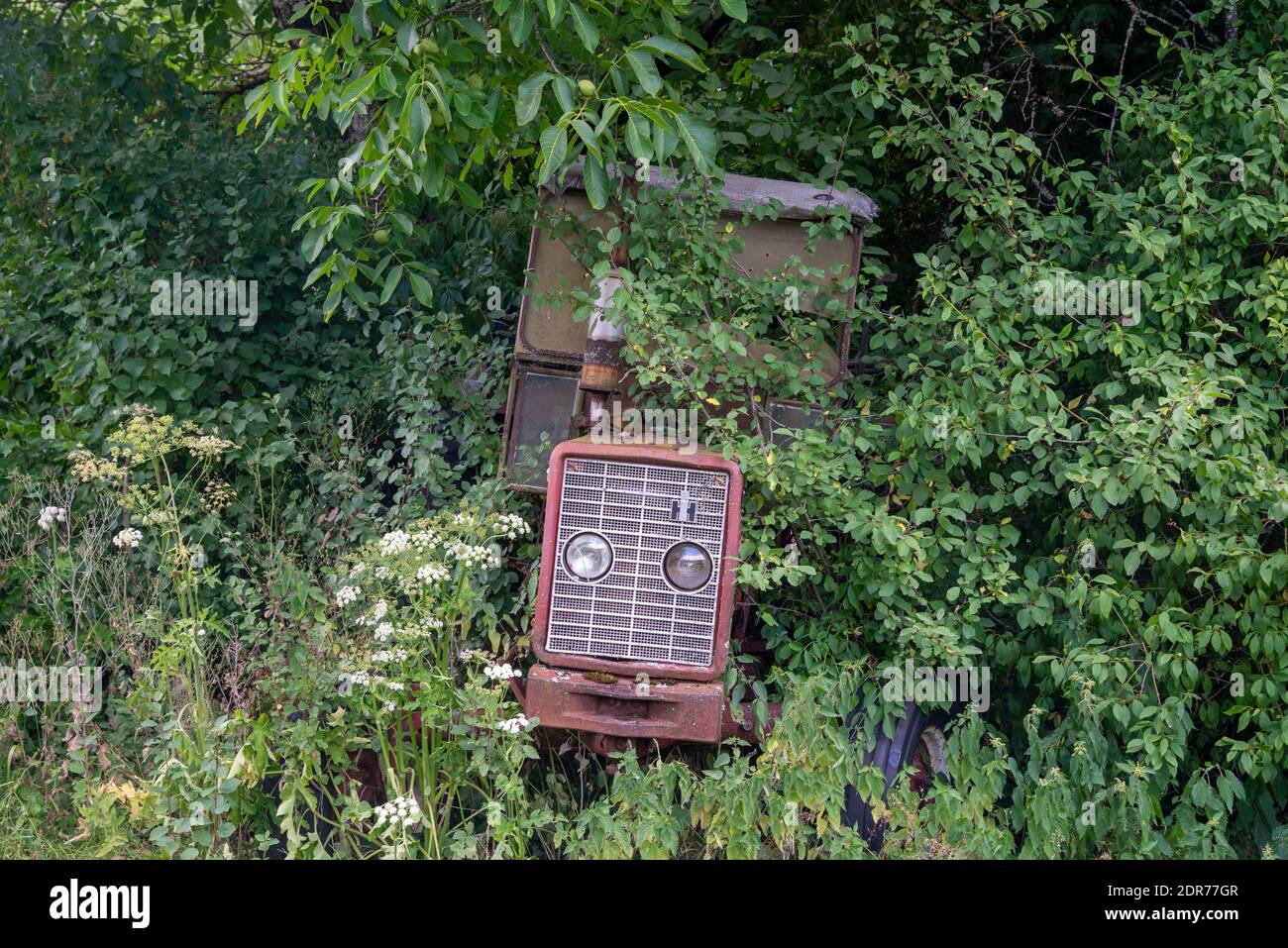 Overgrown old farm equipment hi-res stock photography and images - Alamy