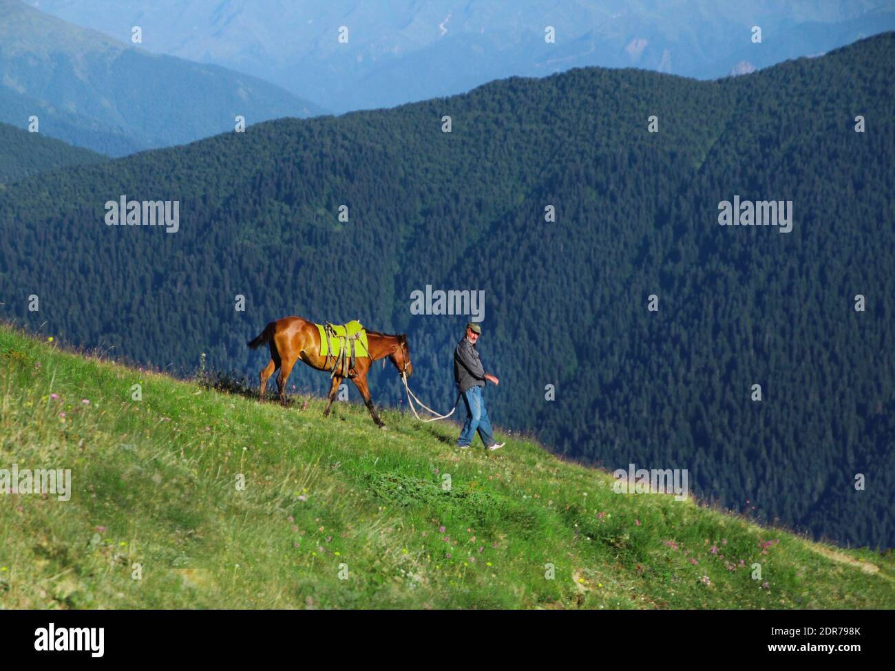 Man walking horse on grass hi-res stock photography and images - Alamy