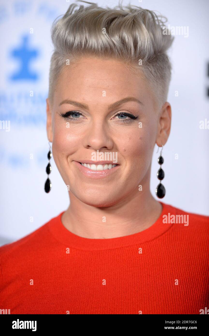 Pink attends the Autism Speaks Gala at the Barker Hangar in Santa ...