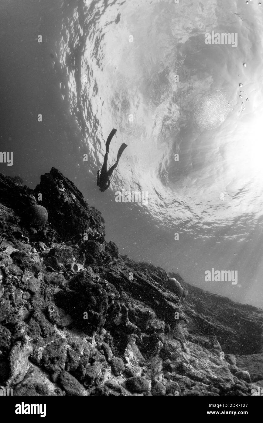 Diving women japan hi-res stock photography and images - Alamy