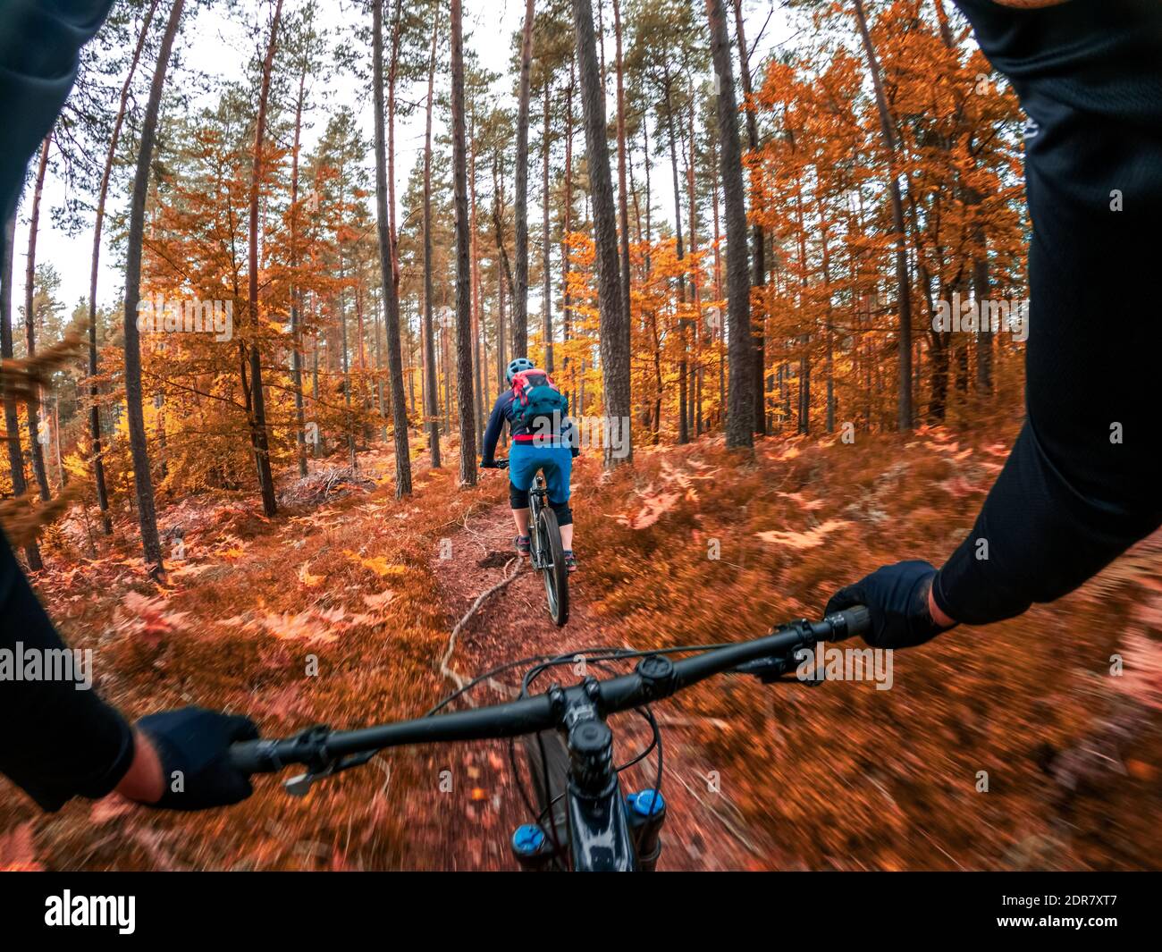 Gpr High Resolution Stock Photography and Images - Alamy