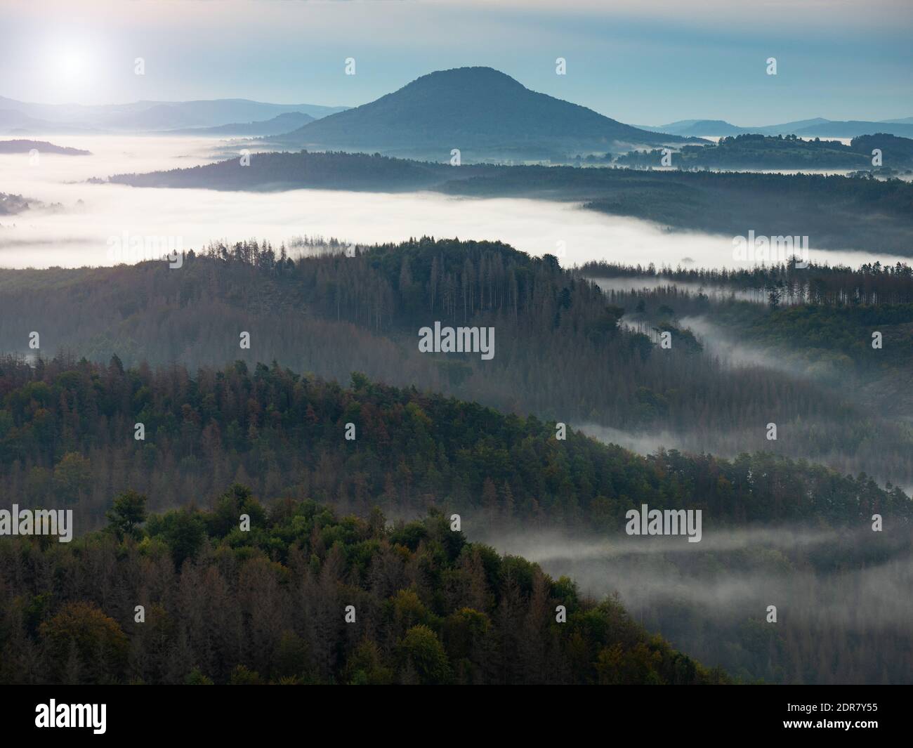 Misty dark forest hi-res stock photography and images - Alamy