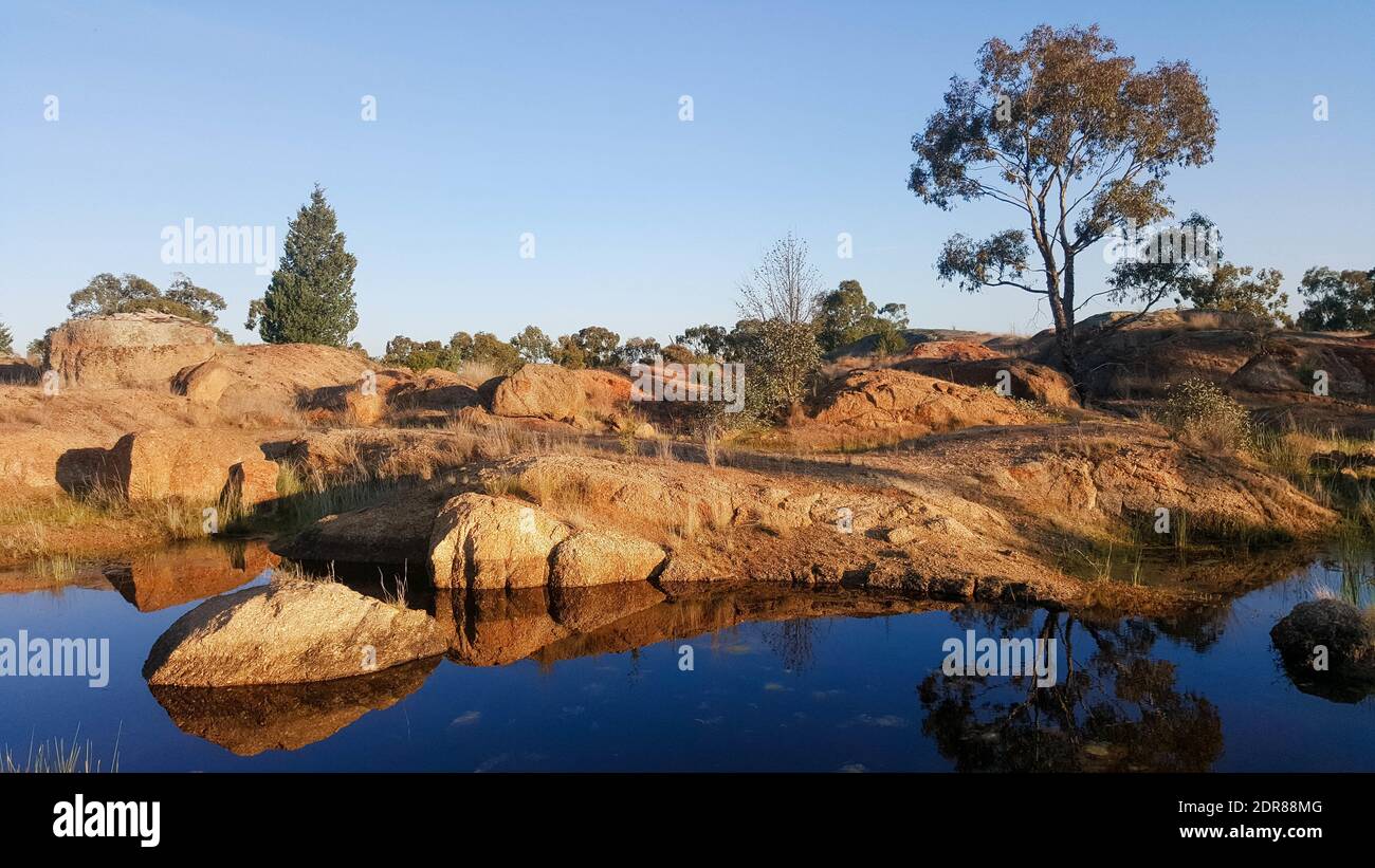 Mitiamo victoria hi-res stock photography and images - Alamy
