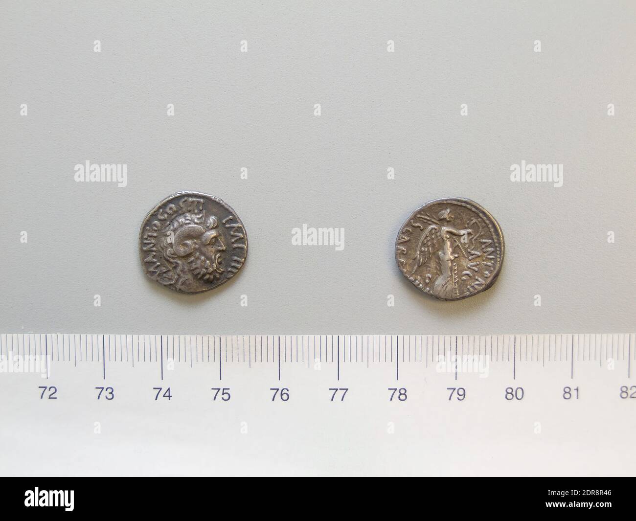 L pinarius scarpus hi-res stock photography and images - Alamy