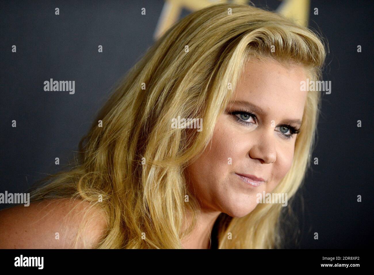 Amy Schumer attends the 19th Annual Hollywood Film Awards at The ...