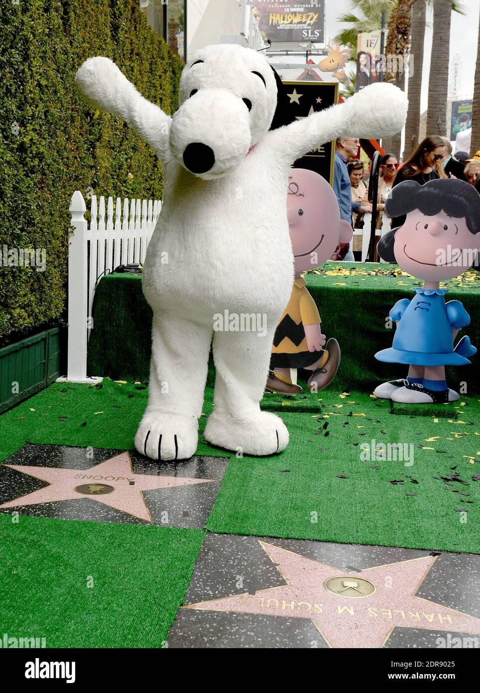 Snoopy is honored with a star on the Hollywood Walk of Fame next to the ...