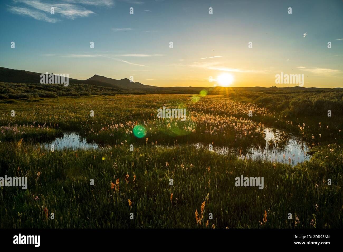 Camas hi-res stock photography and images - Alamy
