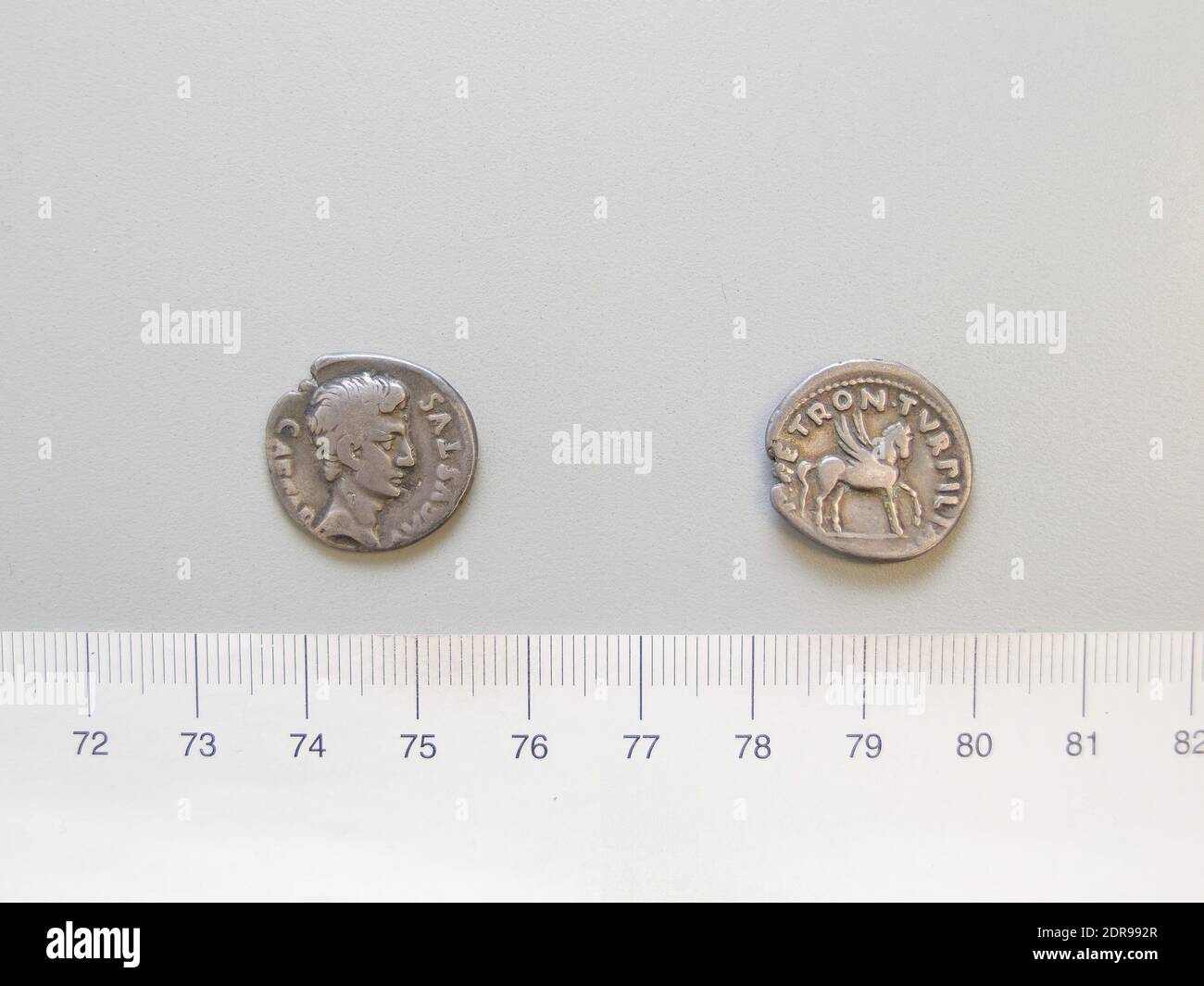 P petronius hi-res stock photography and images - Alamy