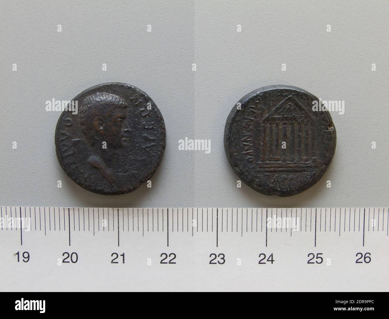 P vedius pollio hi-res stock photography and images - Alamy