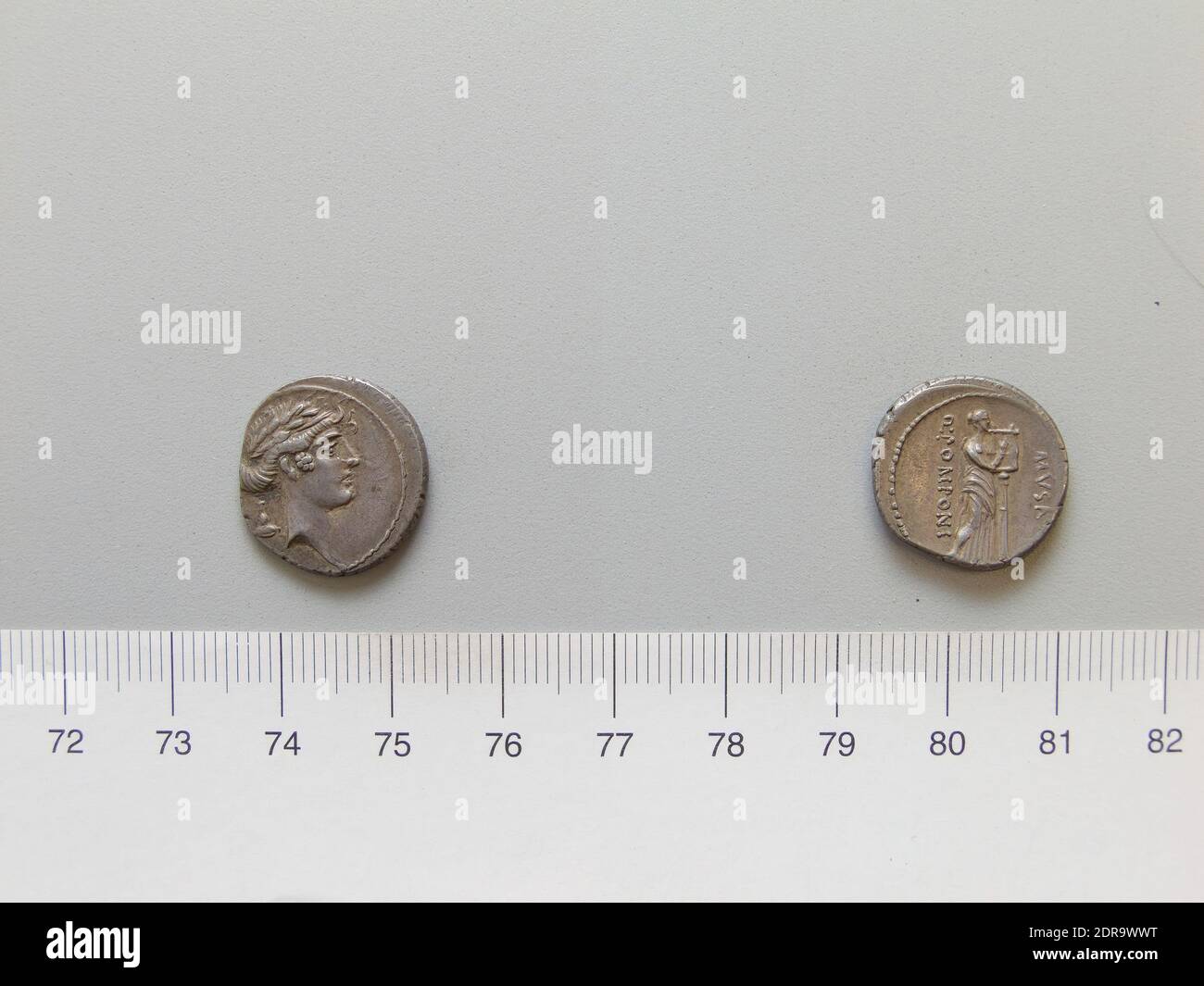 Pomponius hi-res stock photography and images - Alamy