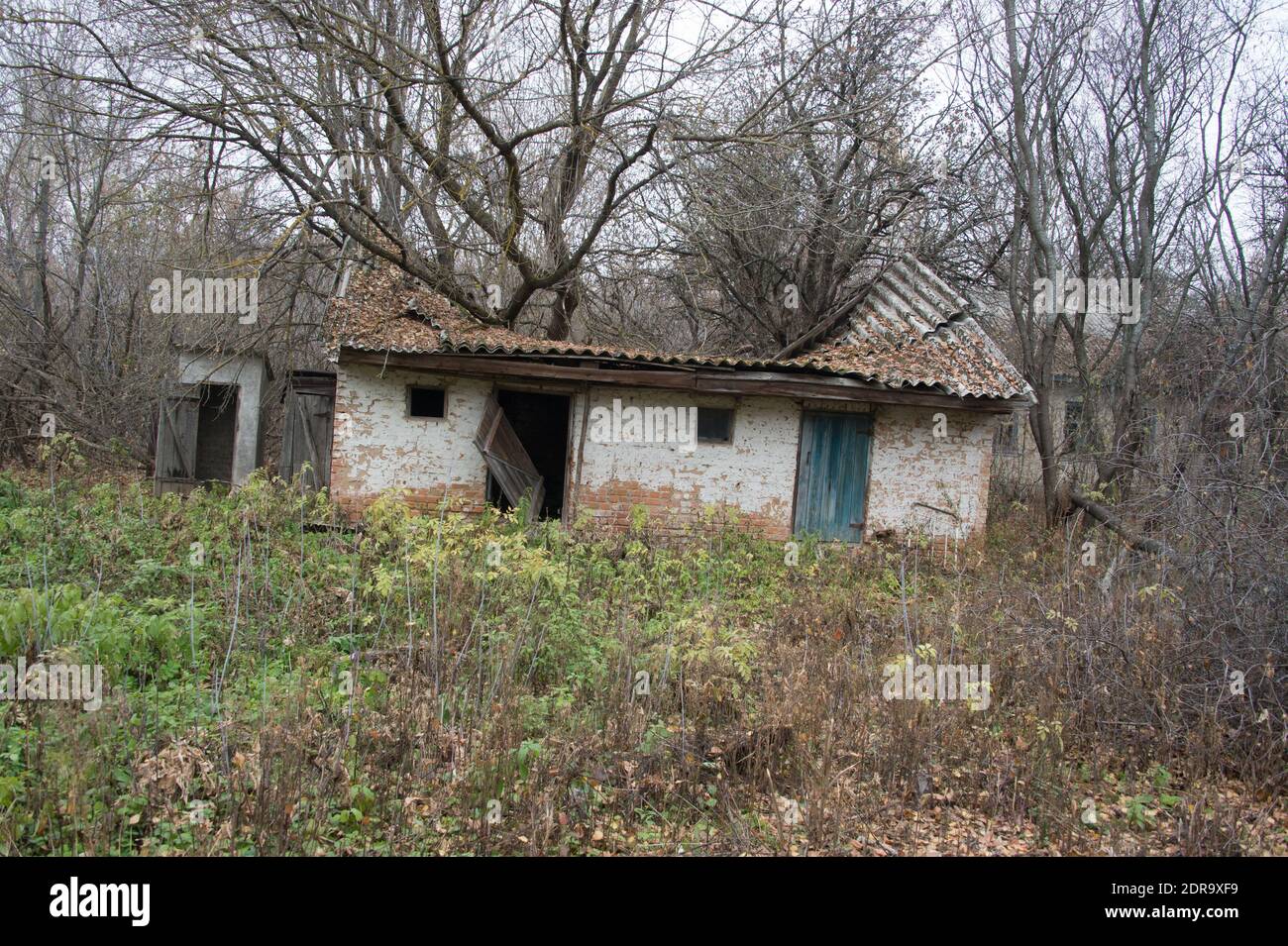 General view of abandoned houses and farms in the village of Zalissya ...