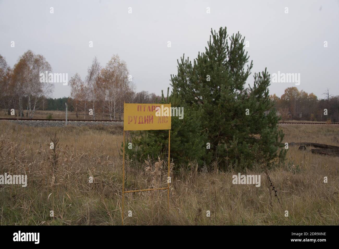Chernobyl 1986 forest hi-res stock photography and images - Alamy